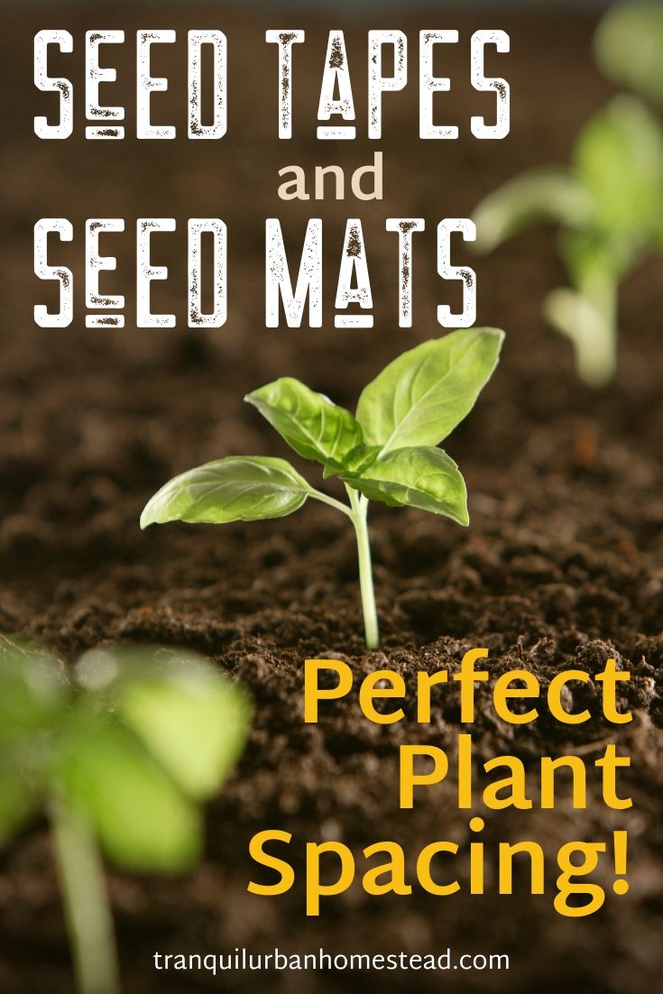 6 Easy Steps to Making Homemade DIY Seed Tape and Mats - Healthy Fresh ...