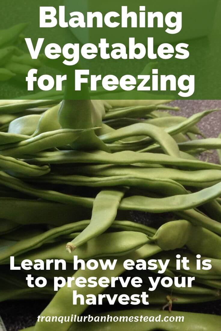 Easy Step-By-Step Guide to Blanching Vegetables For Freezing | Healthy ...