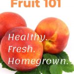 Harvesting Fruit 101: Time To Enjoy The Amazing Abundance | Healthy ...