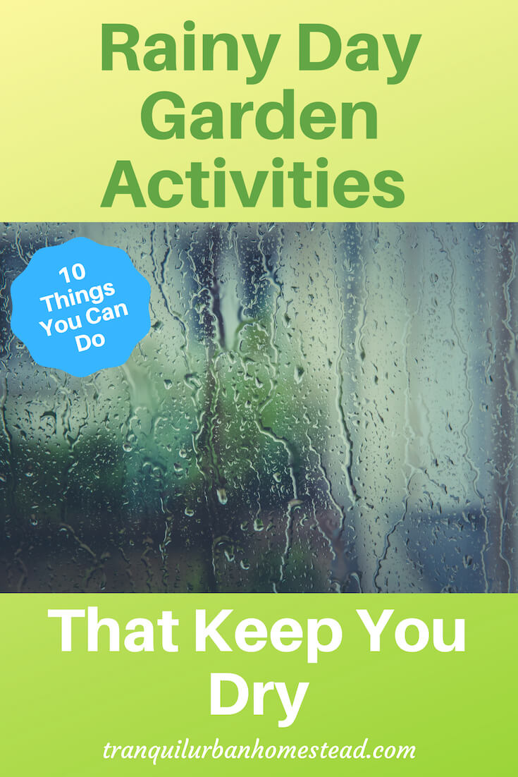 10 Rainy Day Garden Activities That Keep You Dry - Healthy Fresh Homegrown