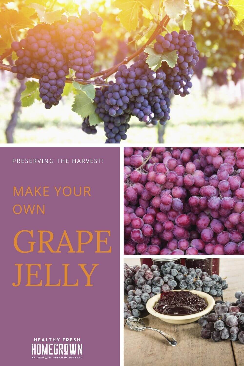 How To Make Grape Jelly At Home - Healthy Fresh Homegrown