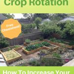 Vegetable Crop Rotation: How To Increase Your Harvests | Healthy Fresh ...