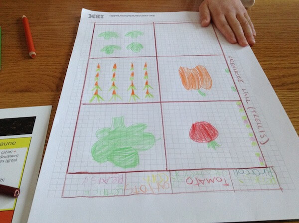 Planning A Vegetable Garden For Kids: Make It Fun And Easy - Healthy ...
