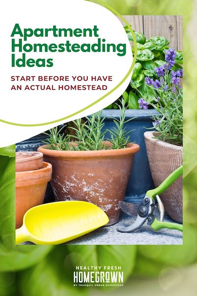 21 Inspiring Ideas To Get Started With Apartment Homesteading - Healthy ...