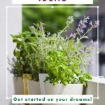 21 Inspiring Ideas To Get Started With Apartment Homesteading - Healthy ...