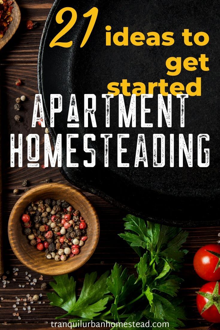 21 Inspiring Ideas To Get Started With Apartment Homesteading - Healthy ...