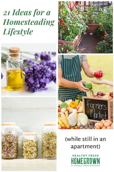 21 Inspiring Ideas To Get Started With Apartment Homesteading - Healthy ...