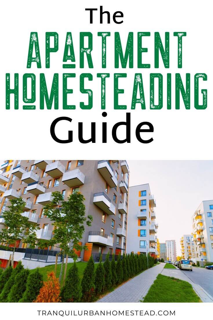 21 Inspiring Ideas To Get Started With Apartment Homesteading - Healthy ...