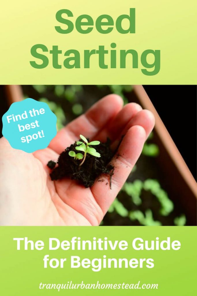 Seed Starting: The Definitive Guide for Beginners | Healthy Fresh ...