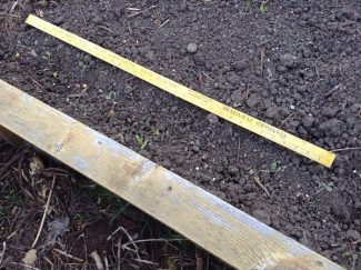 7 Tips To Space Out Plants Properly And Avoid Overcrowding - Healthy ...