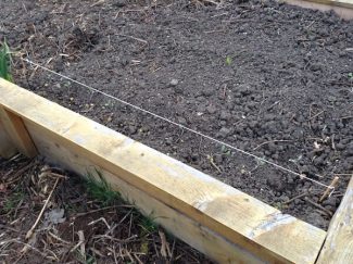 7 Tips To Space Out Plants Properly And Avoid Overcrowding - Healthy ...