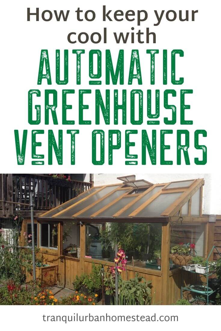 How to Keep Your Cool With Automatic Greenhouse Vent Openers - Healthy ...
