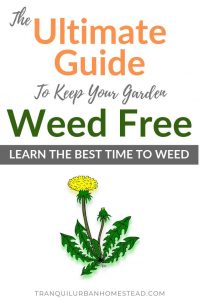 The Best Time To Weed Your Garden: Natural Weed Control Made Easier ...