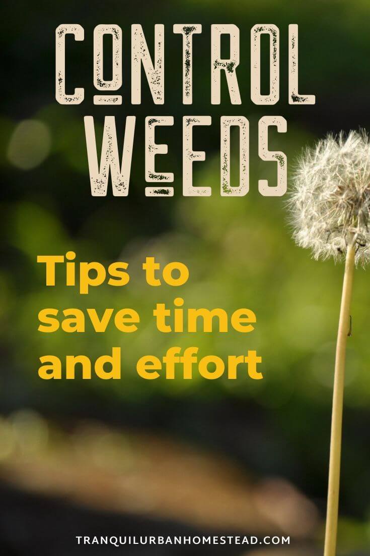 The Best Time To Weed Your Garden: Natural Weed Control Made Easier ...