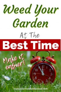 The Best Time To Weed Your Garden: Natural Weed Control Made Easier ...