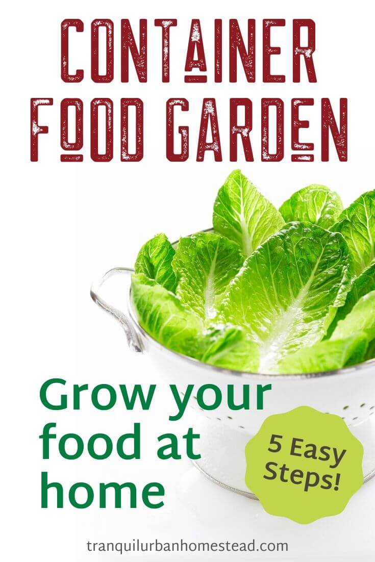 5 Easy Steps To A Successful Container Food Garden - Healthy Fresh ...