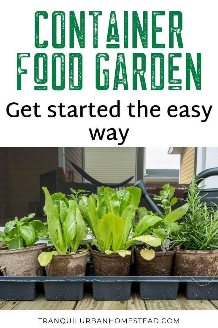 5 Easy Steps To A Successful Container Food Garden - Healthy Fresh ...