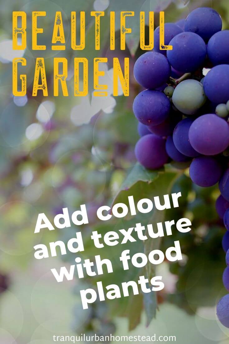 How To Have An Attractive Food Garden - Healthy Fresh Homegrown
