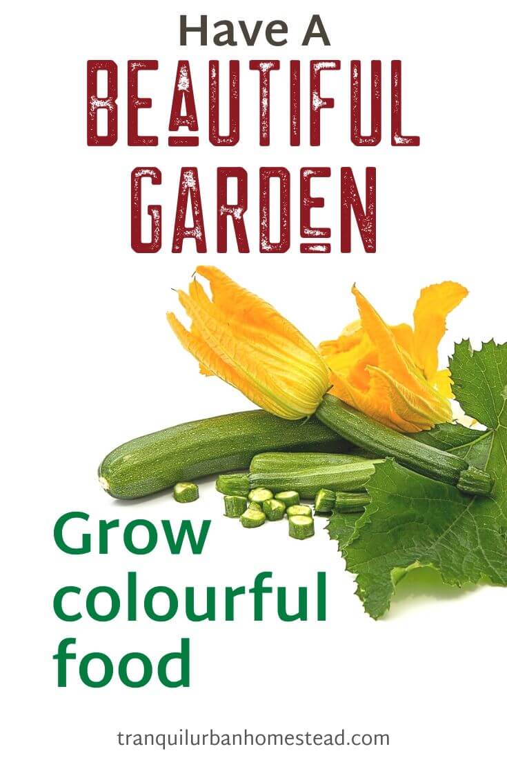 How To Have An Attractive Food Garden - Healthy Fresh Homegrown