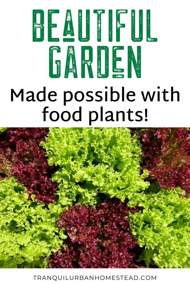How To Have An Attractive Food Garden - Healthy Fresh Homegrown