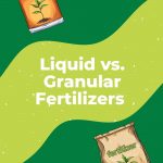 Liquid and Granular Fertilizers For Growing Vegetables: Can You Use ...