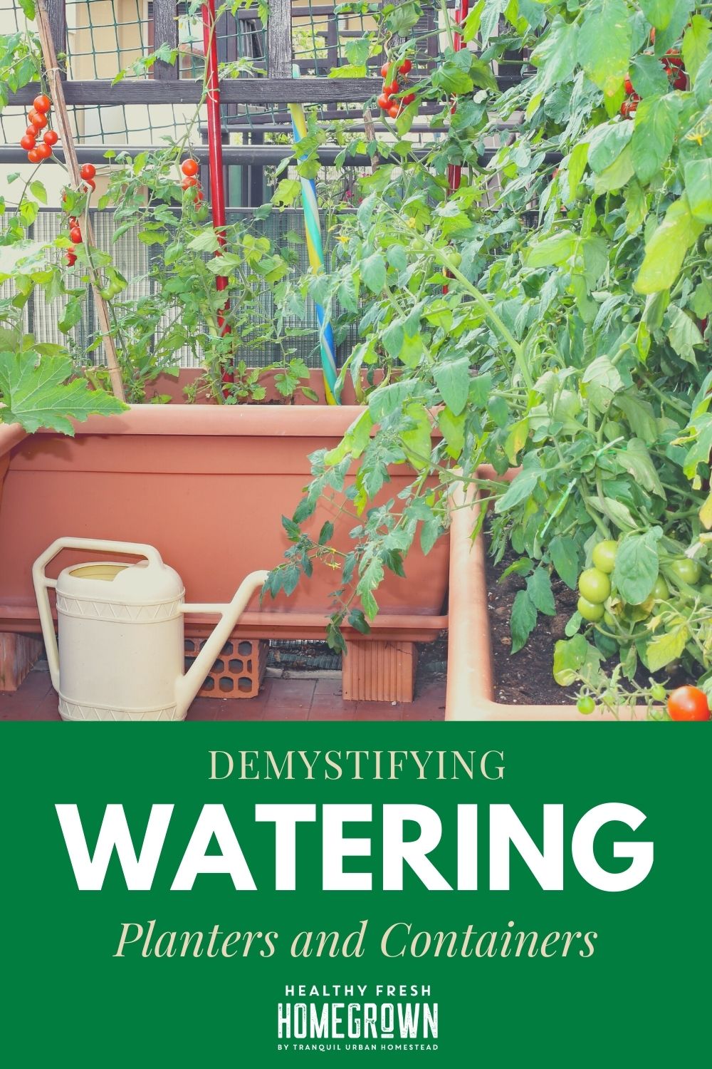 Watering Planters Correctly To Get The Best Veggie Harvests - Healthy ...