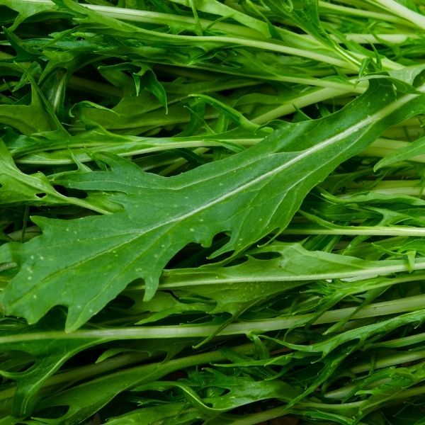 16 Japanese Vegetables You Can Grow at Home - Healthy Fresh Homegrown