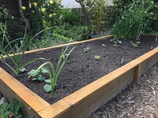 No-dig Gardening Method to Save Time and Effort - Healthy Fresh Homegrown